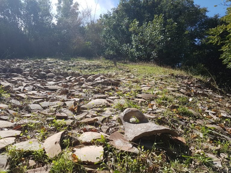 The history of Testaccio district in Rome - Italy Rome Tour